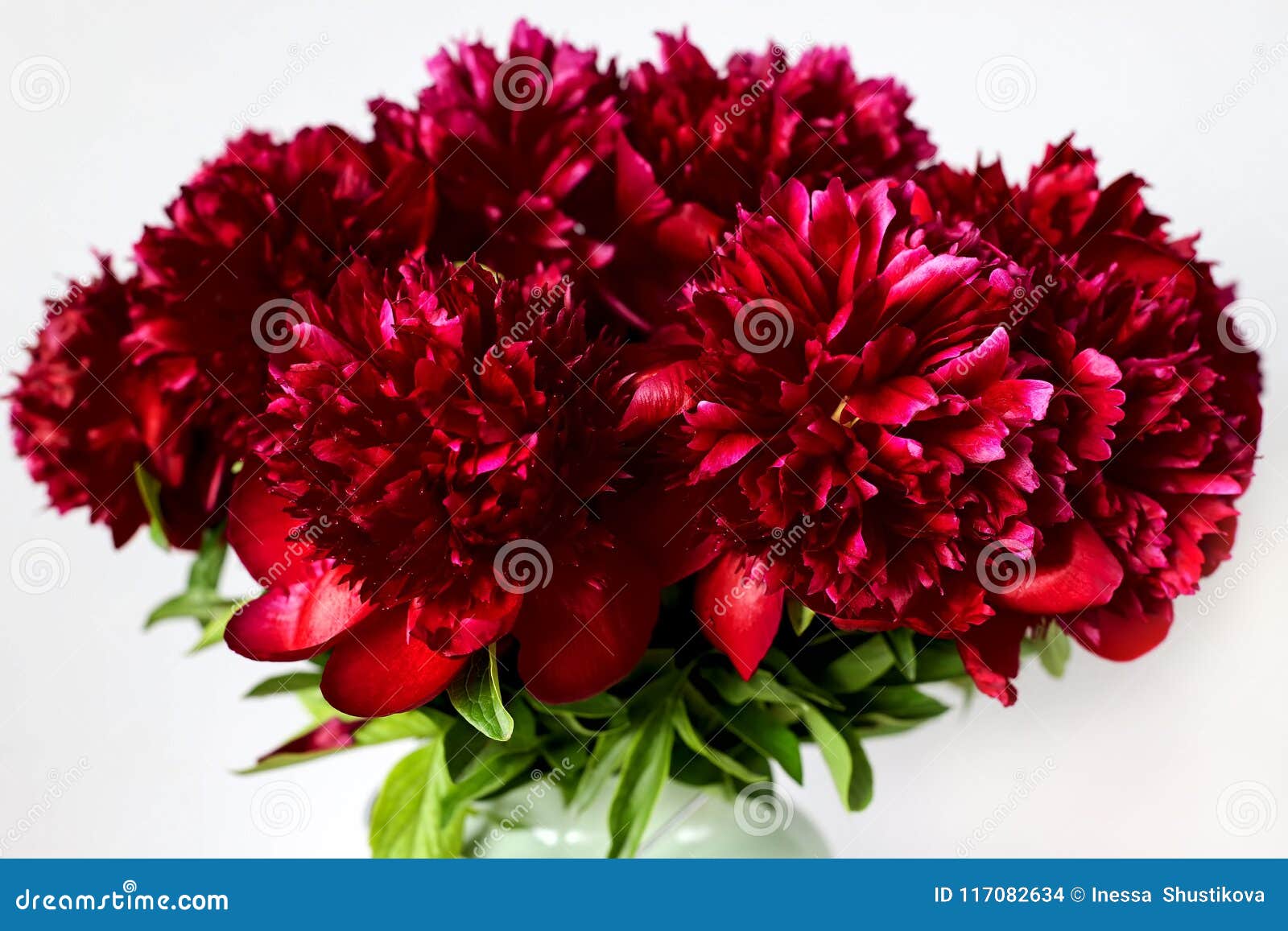 Maroon Peonies in a Vase on the Table Stock Photo - Image of pink, card ...