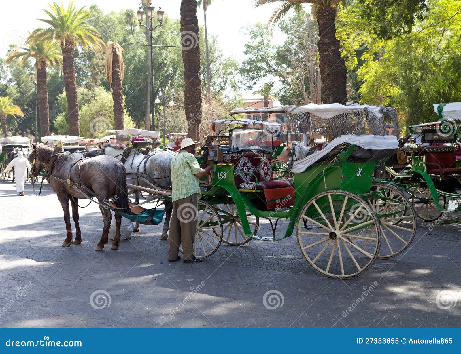 Marrakech image éditorial. Image du place, cheval, tourisme - 27383855