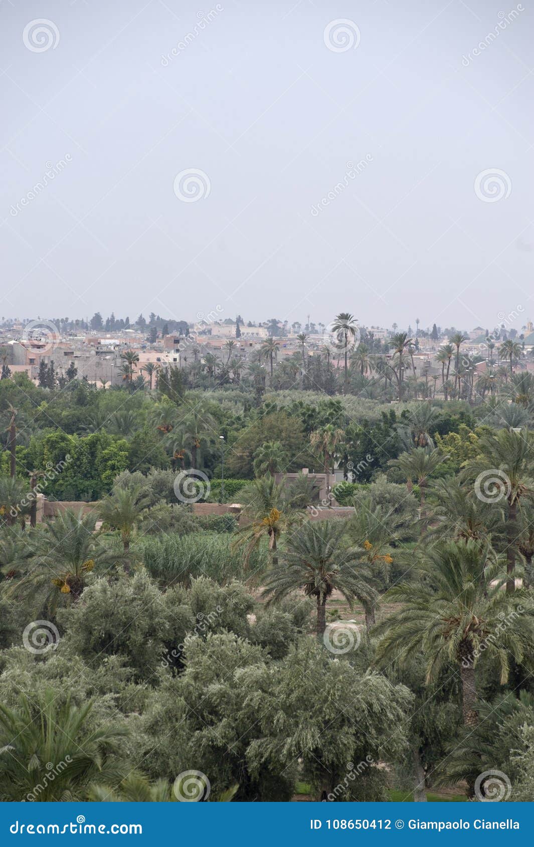 Panorama of marrakech stock photo. Image of marocco - 108650412