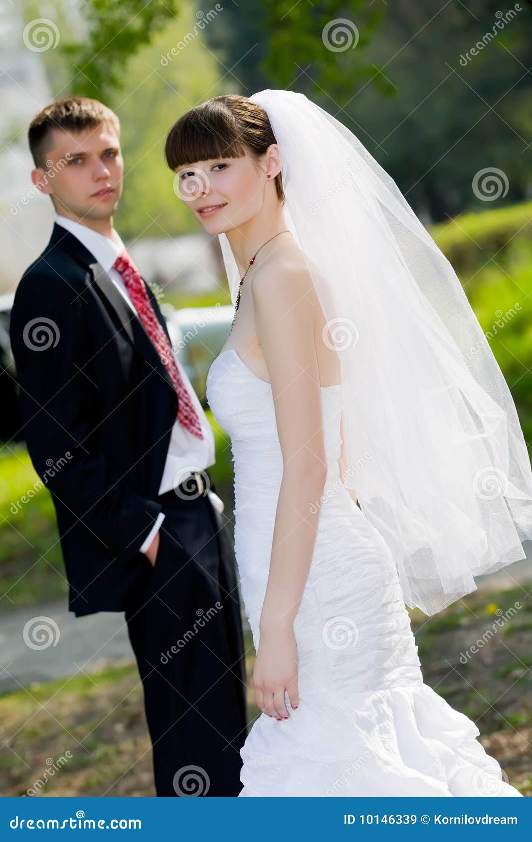 Marriage stock image. Image of handsome, romantic, celebration - 10146339