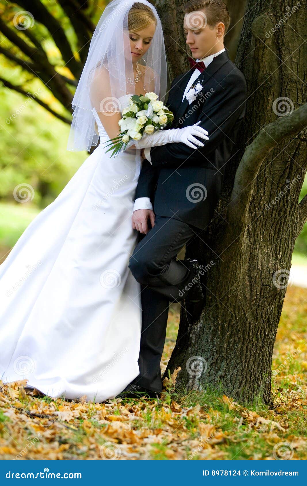 Marriage stock photo. Image of dress, gown, handsome, event - 8978124
