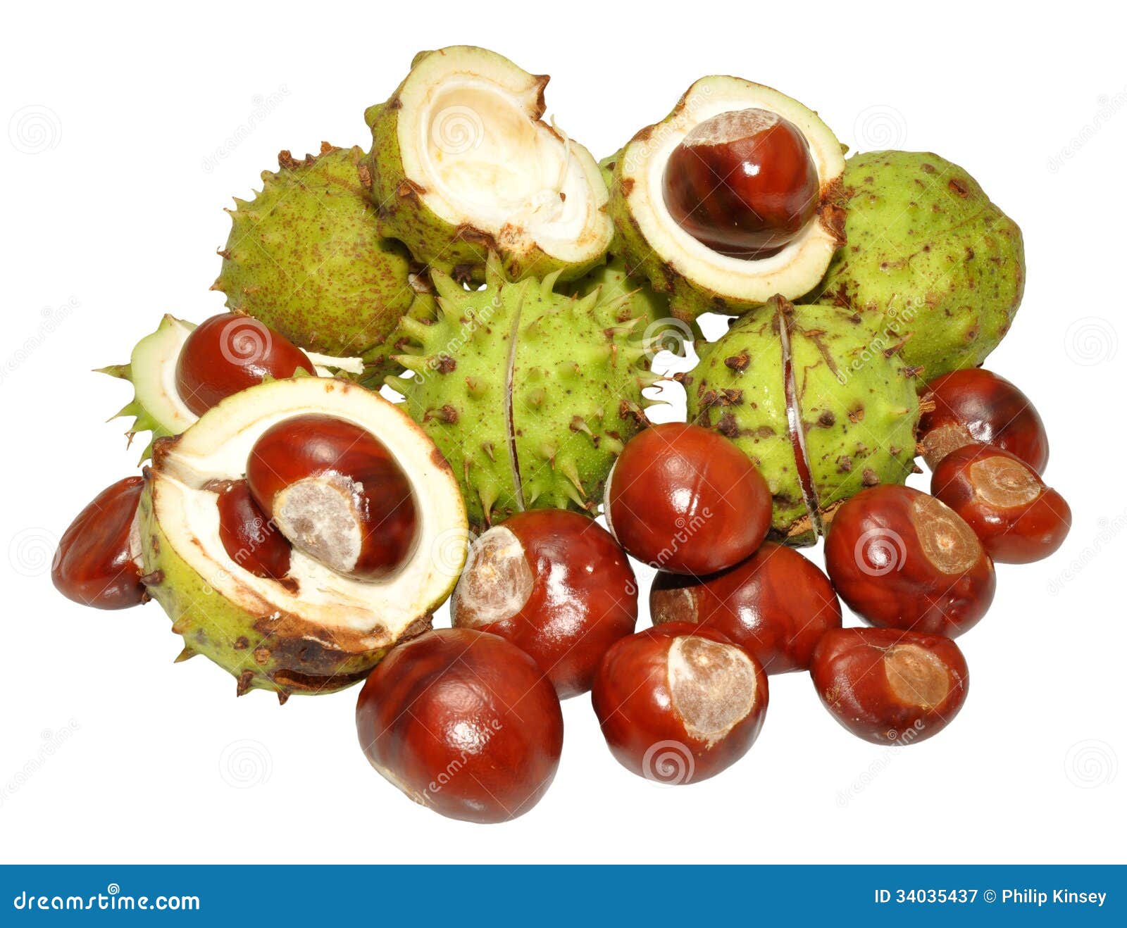 Marrons image stock. Image du marrons, brun, automne - 34035437