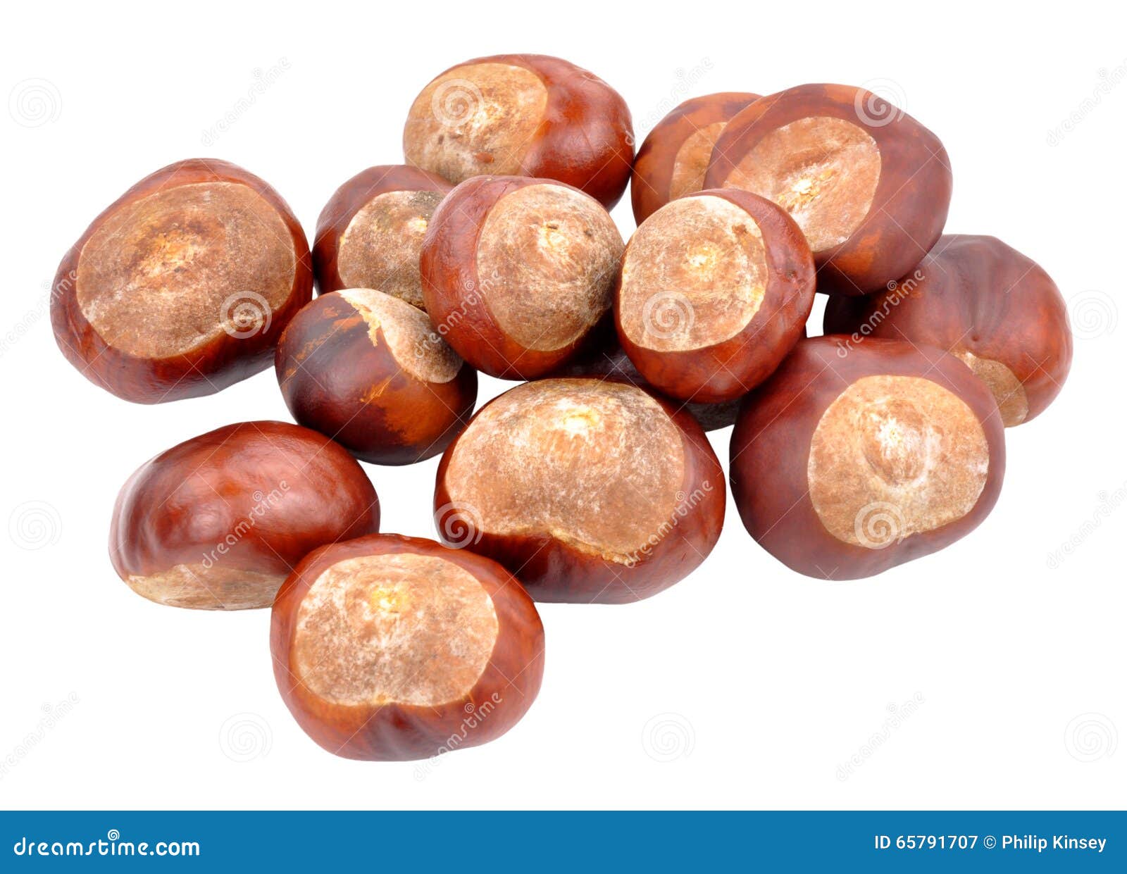 Marrons D'arbre De Marron D'Inde Image stock - Image du brun, nature ...