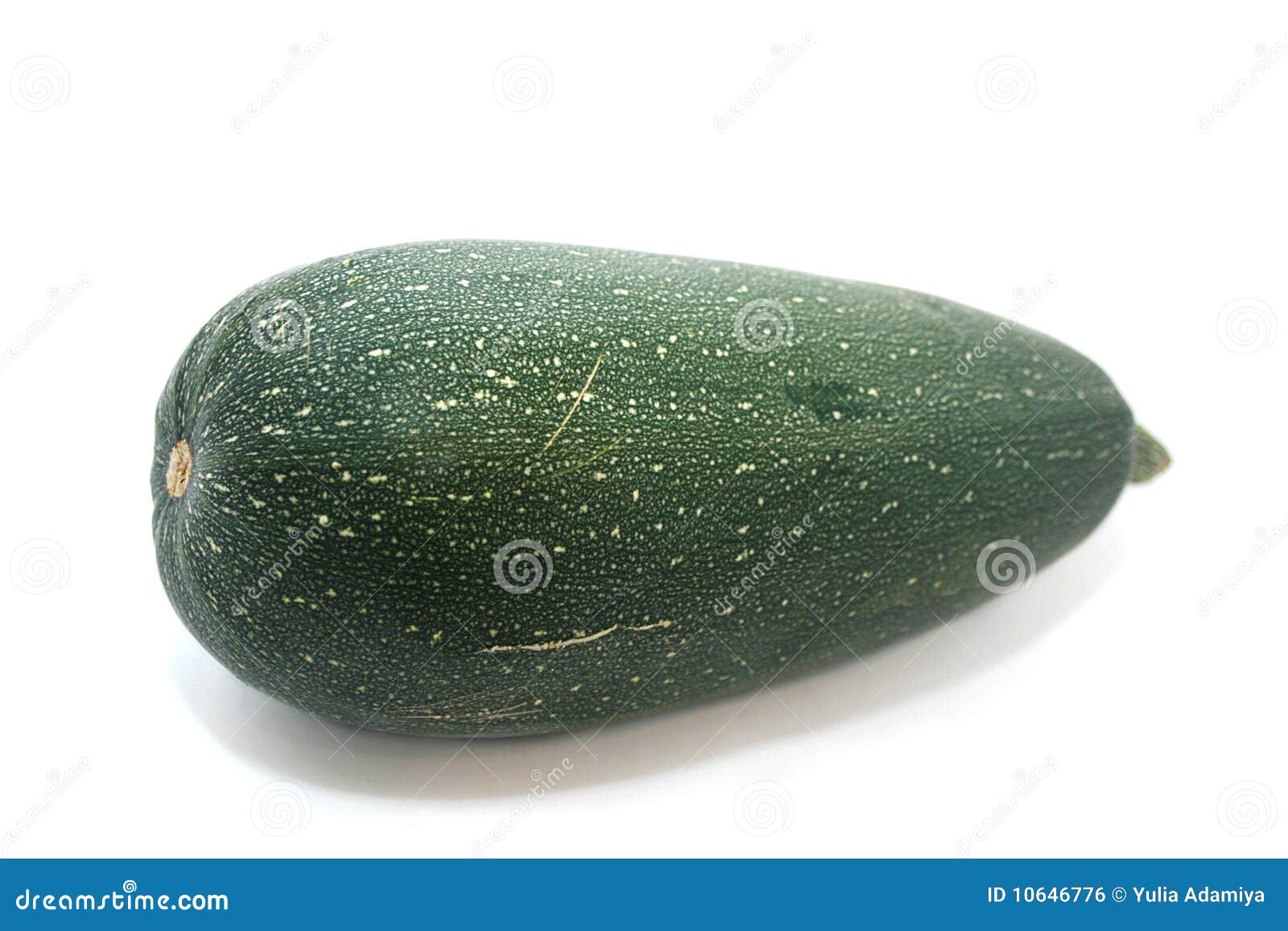 Marrow stock photo. Image of marrow, fresh, green, vegetable - 10646776