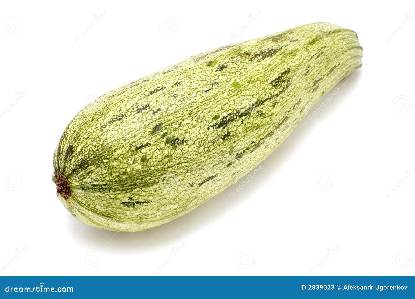 Marrow stock image. Image of ingredient, farm, organic - 2839023