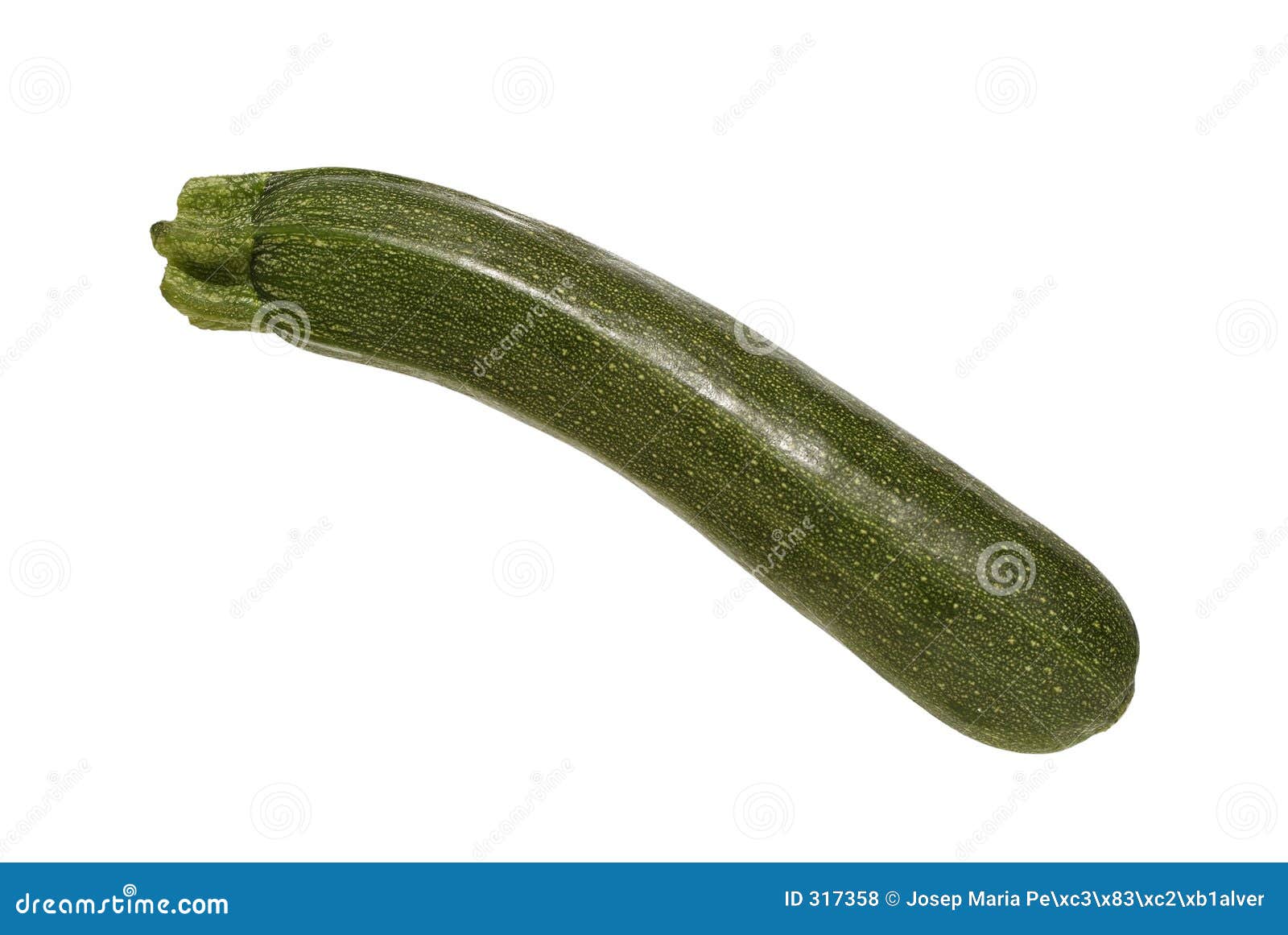 Marrow stock photo. Image of summer, zucchini, health, veggie - 317358