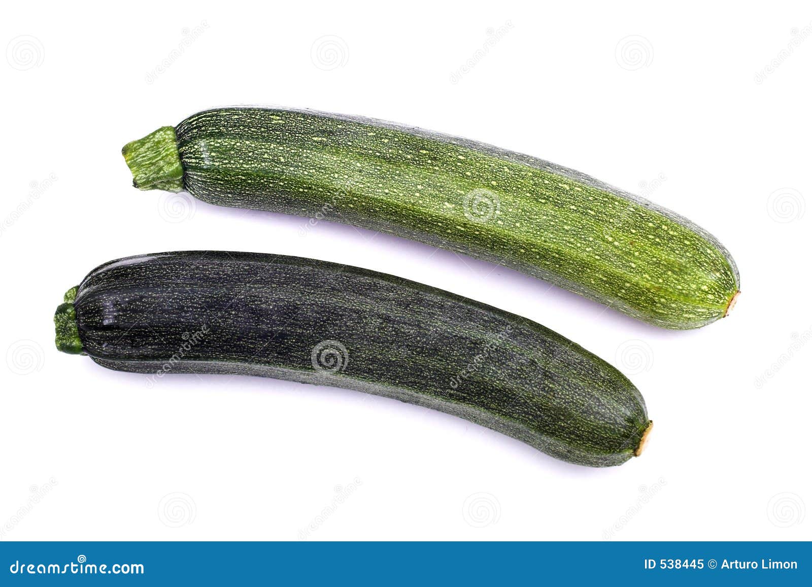 Marrow stock image. Image of healthy, marrow, slim, obesity - 538445
