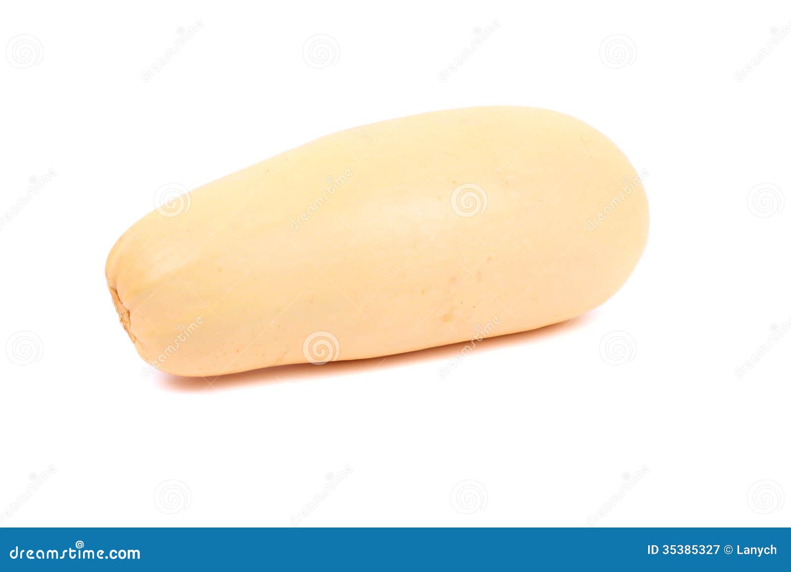 Marrow stock image. Image of health, cuisine, lunch, harvest - 35385327