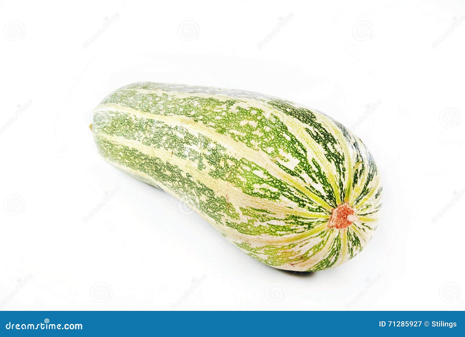 Marrow stock image. Image of delicious, harvest, fresh - 71285927
