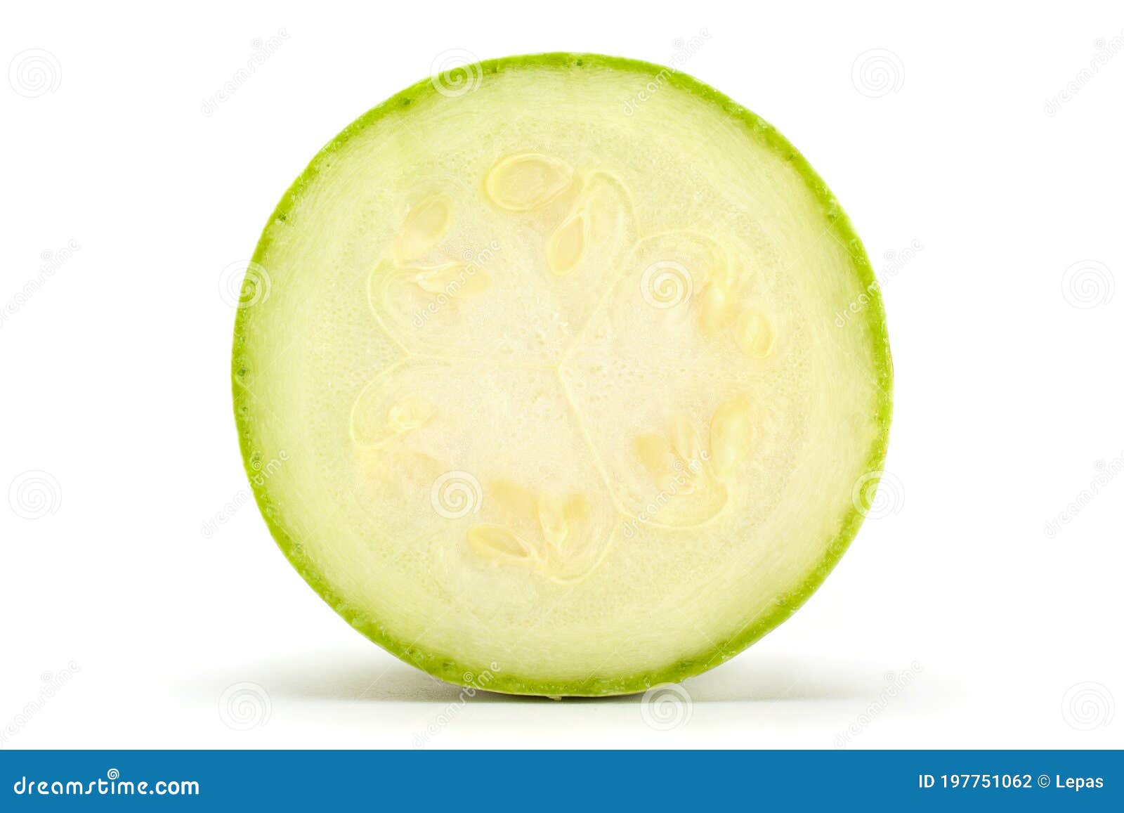 Marrow Squash Vegetable Slice Stock Photo - Image of healthy, harvest ...