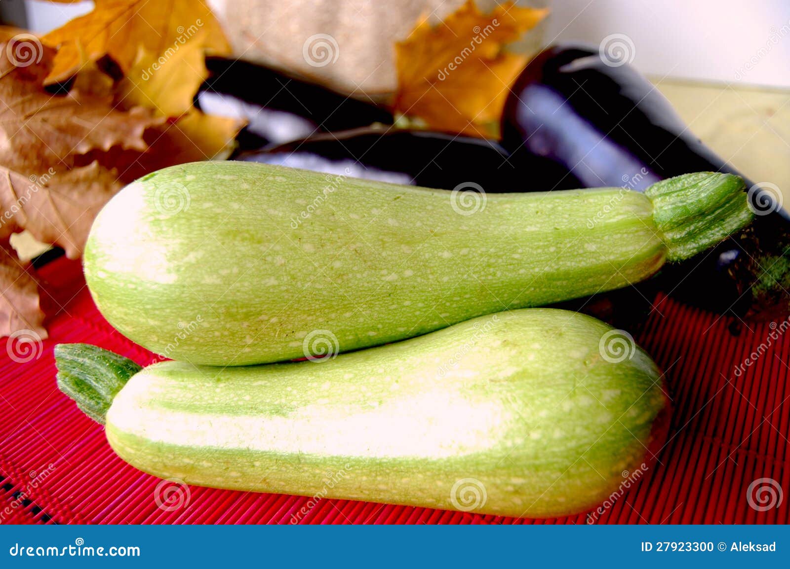 Marrows stock photo. Image of plant, marrows, healthy - 27923300