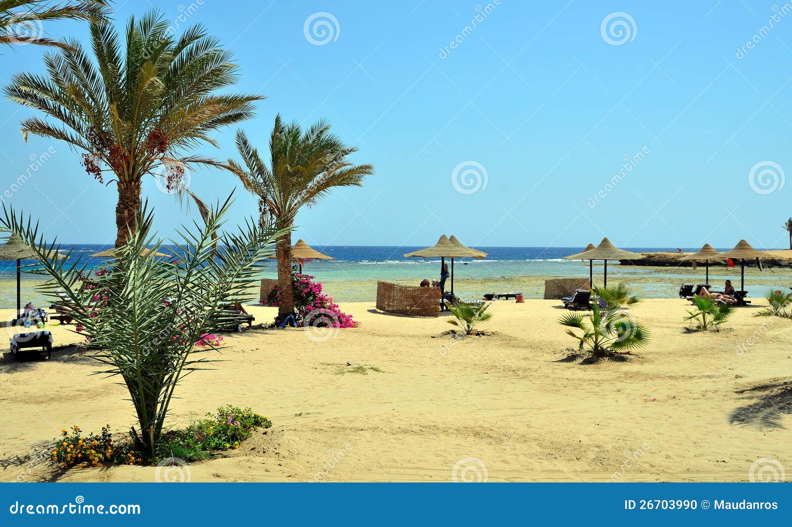 Marsa alam stock foto. Image of zand, woestijn, vakantie - 26703990