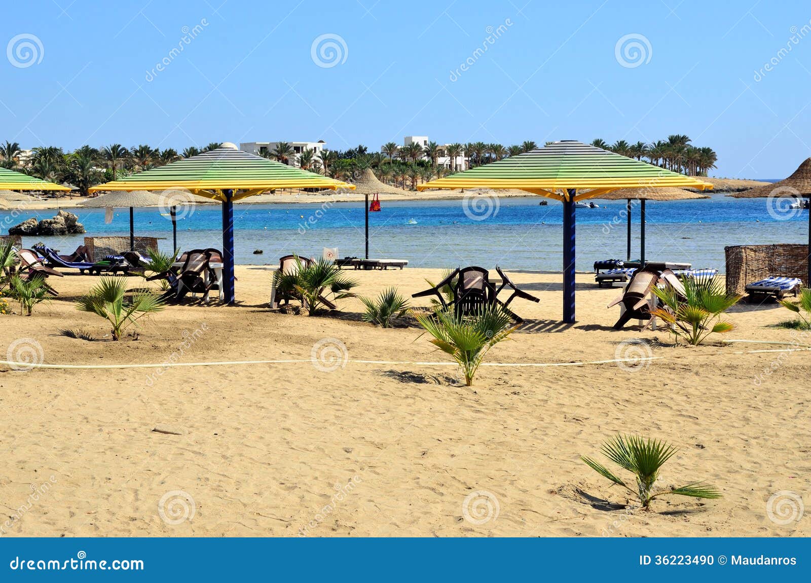 Marsa alam stock photo. Image of beach, marsaalam, panorama - 36223490