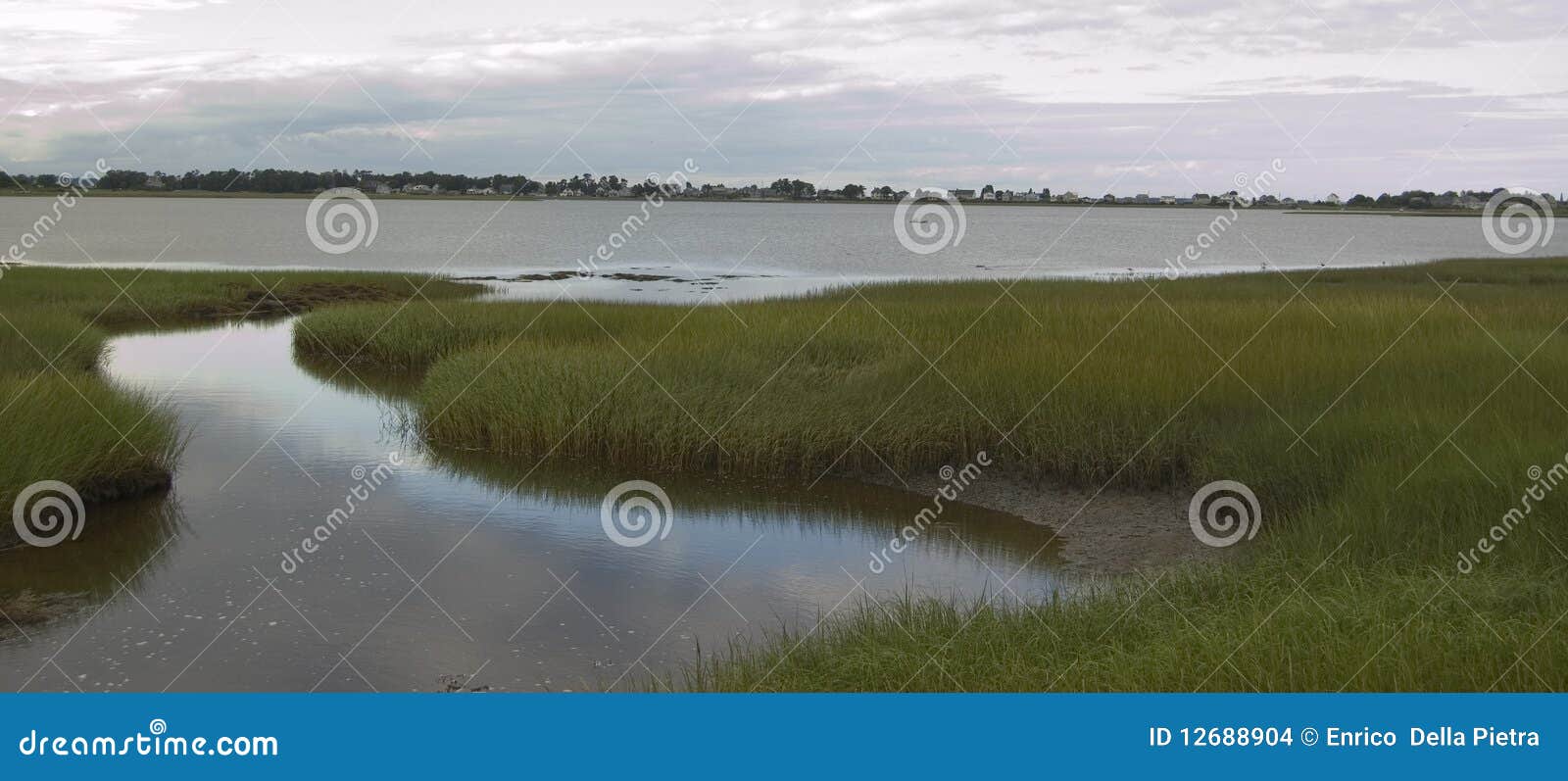 Marsh stock photo. Image of nature, marsh, bush, landscape - 12688904