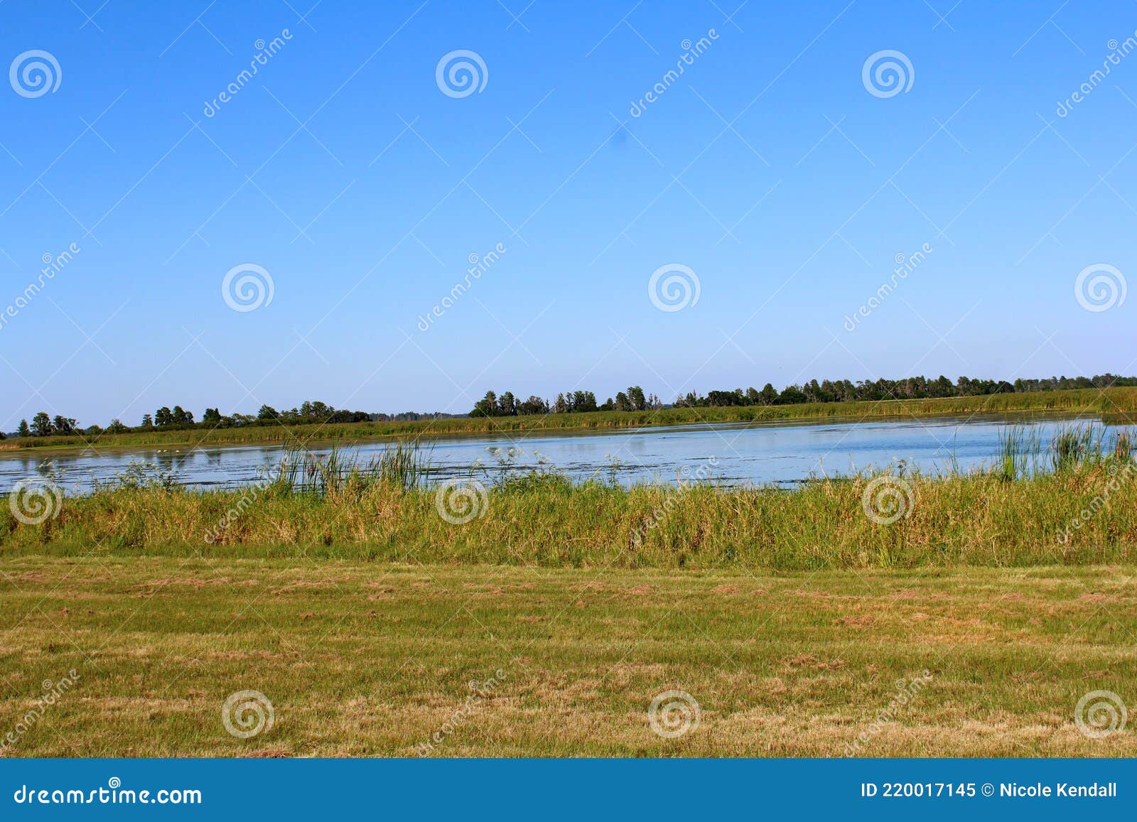 Panther Point Trail at Lake Hancock Stock Image - Image of horizon ...