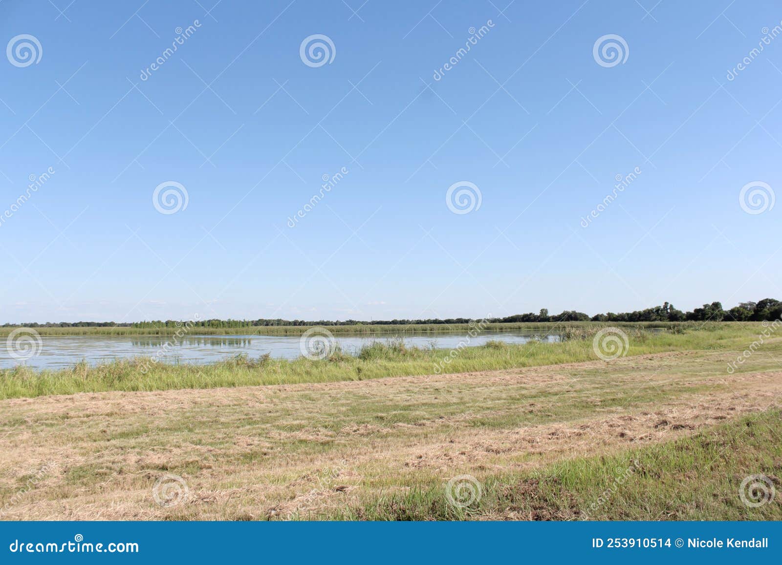 Marsh Along Panther Point Trail Stock Photo - Image of savanna, wetland ...