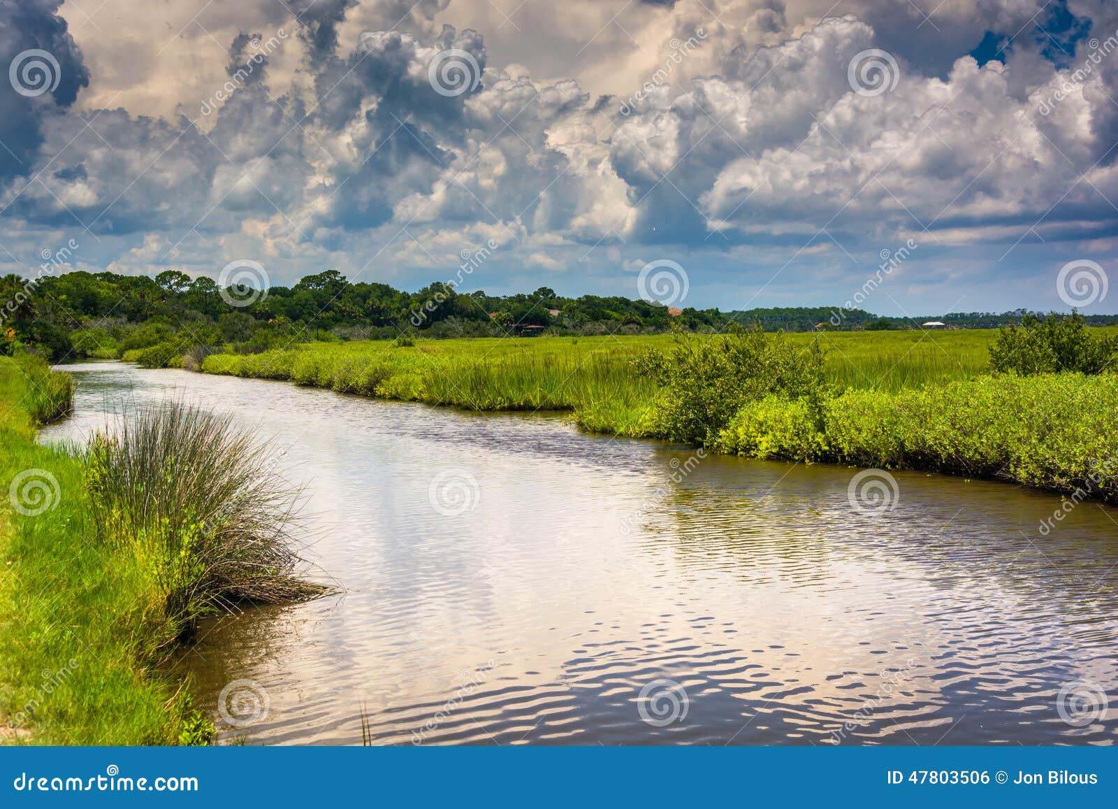 Marsh Area of the Tomoka River, at Tomoka State Park, Florida. Stock ...