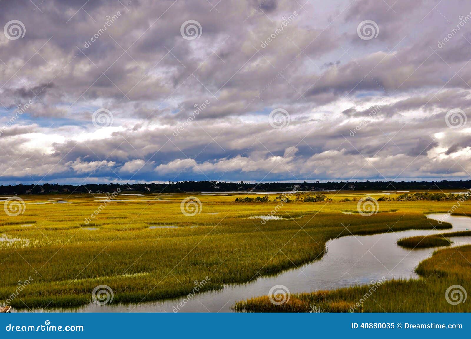 Marsh beauty stock image. Image of marshes, coast, marsh - 40880035
