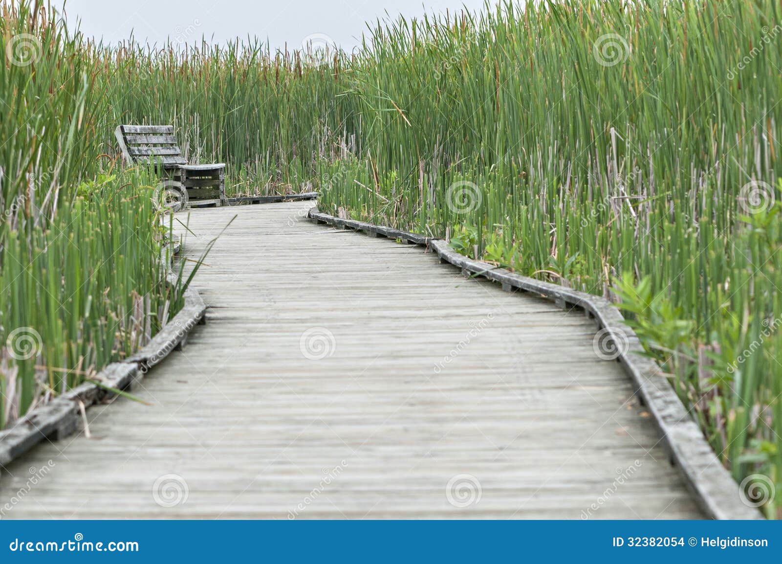 Marsh boardwalk stock photo. Image of marsh, grass, marshland - 32382054