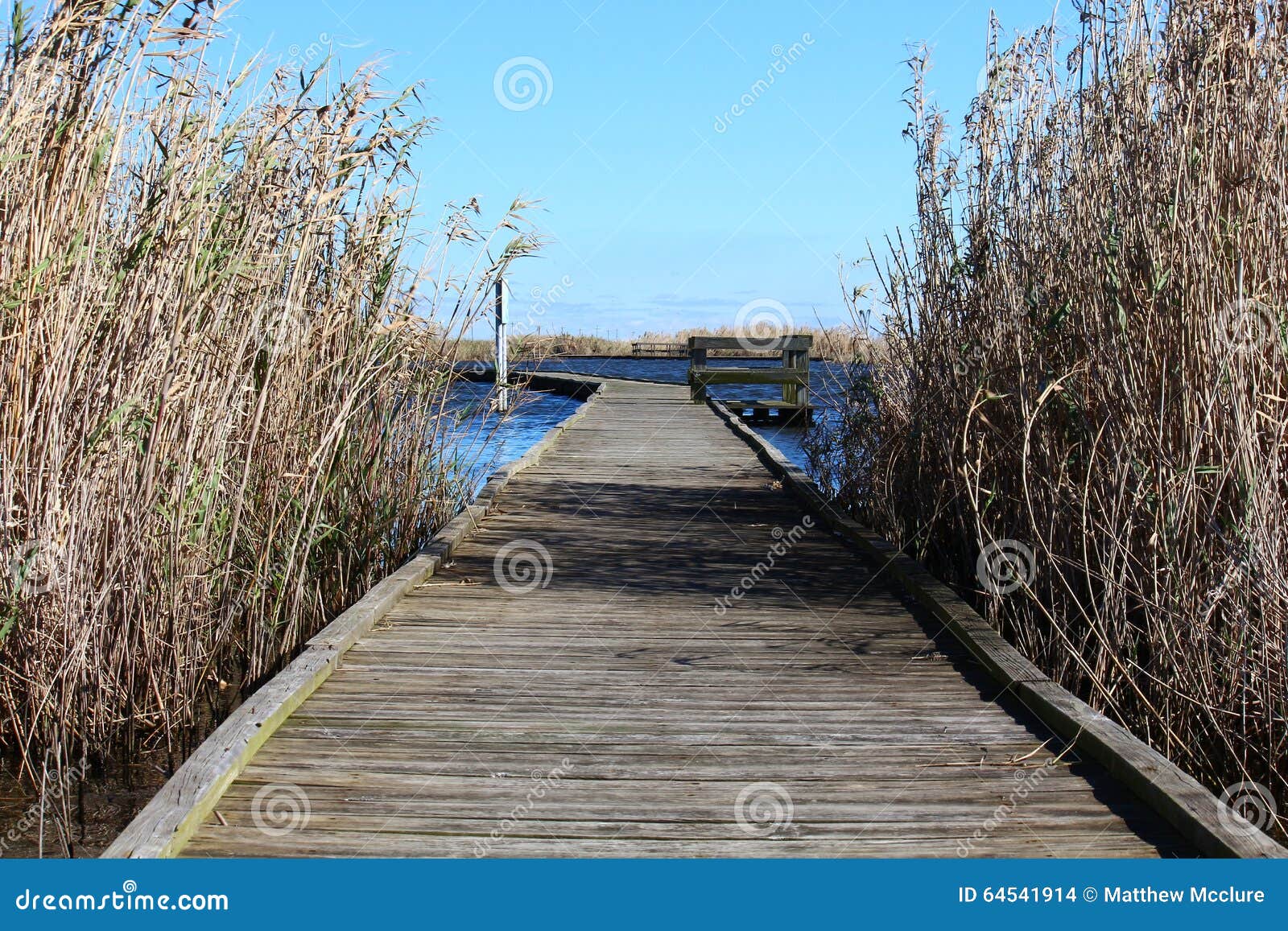 Boardwalk Through Salt Marsh Wetlands At Assateague Island Stock ...