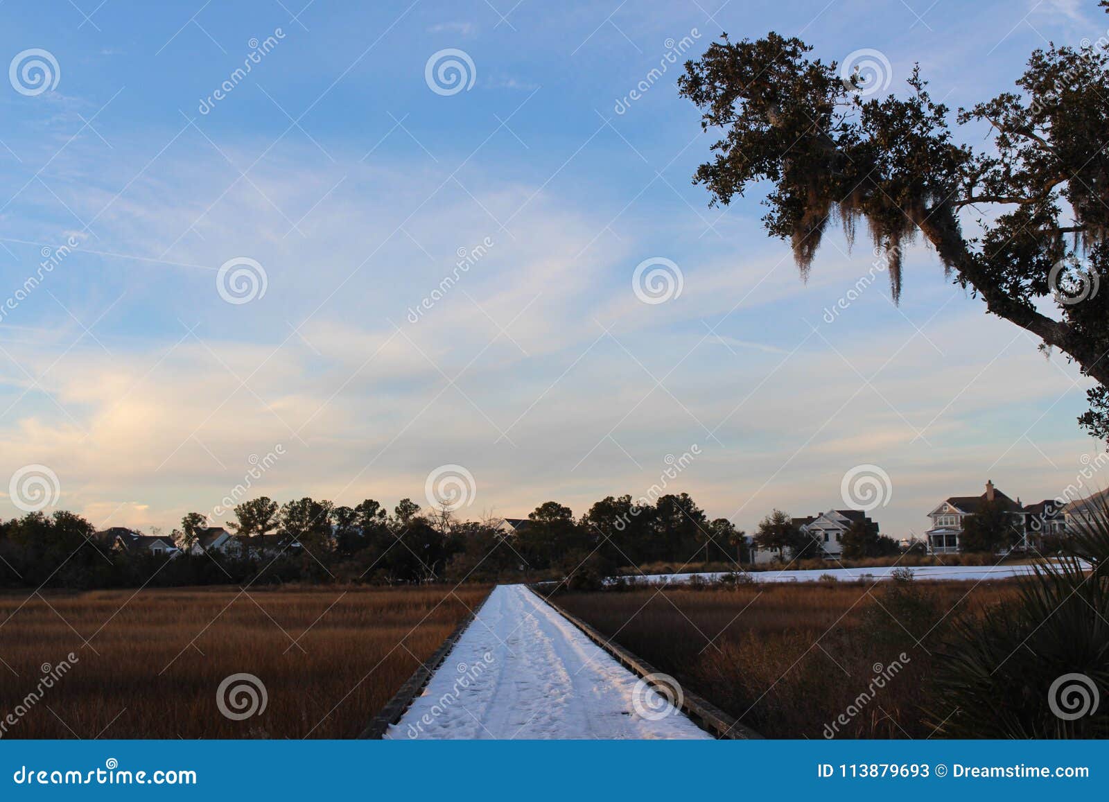 Marsh Boardwalk in the Snow Stock Image - Image of boardwalk, dusk ...