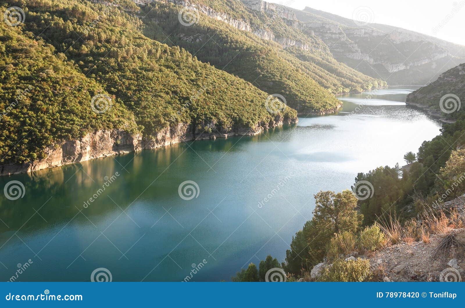 Marsh Camarasa, Catalonia Province, Spain Stock Photo - Image of ...
