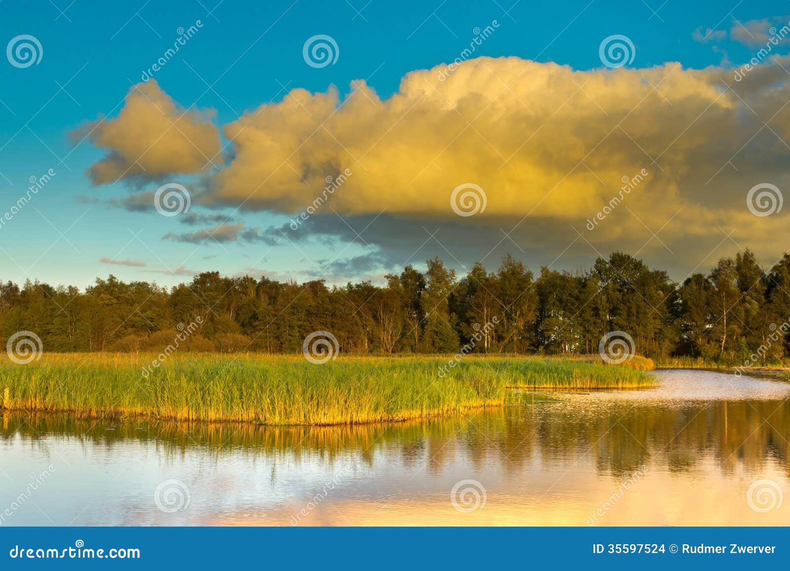 Marsh Country Netherlands stock foto. Image of najaar - 35597524