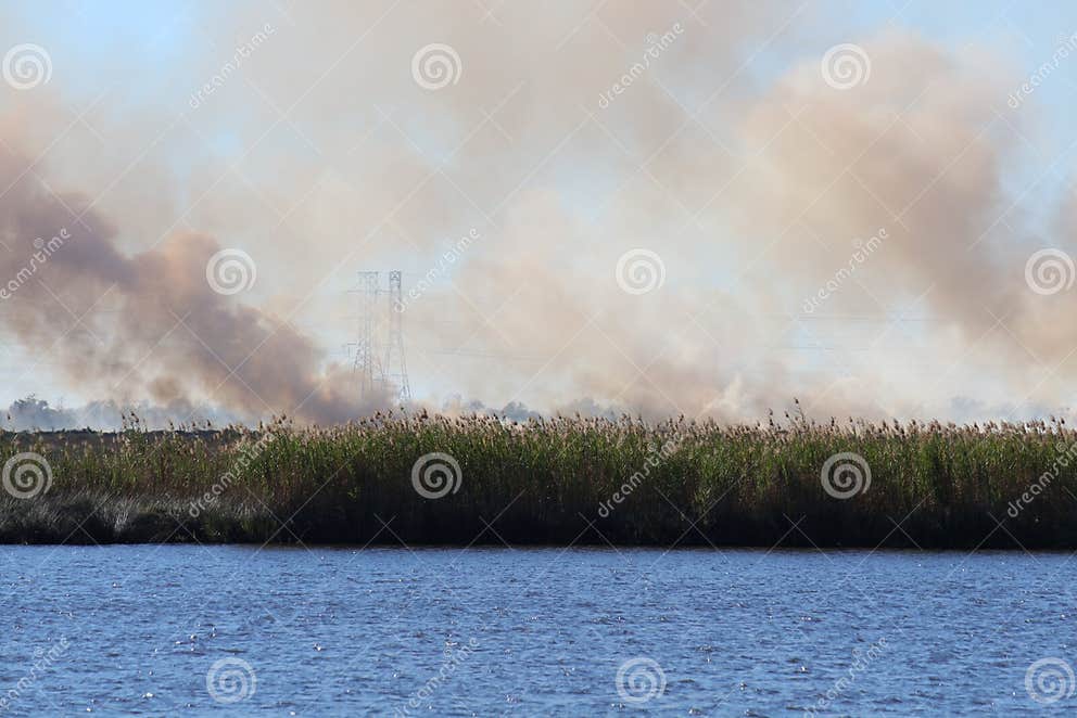 Marsh fire stock photo. Image of texas, marsh, wetland - 63312242