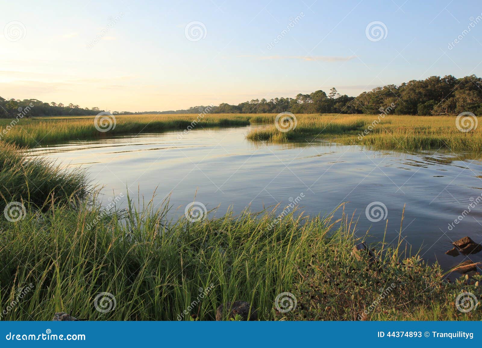 Marsh and Grasses stock image. Image of inlet, grass - 44374893