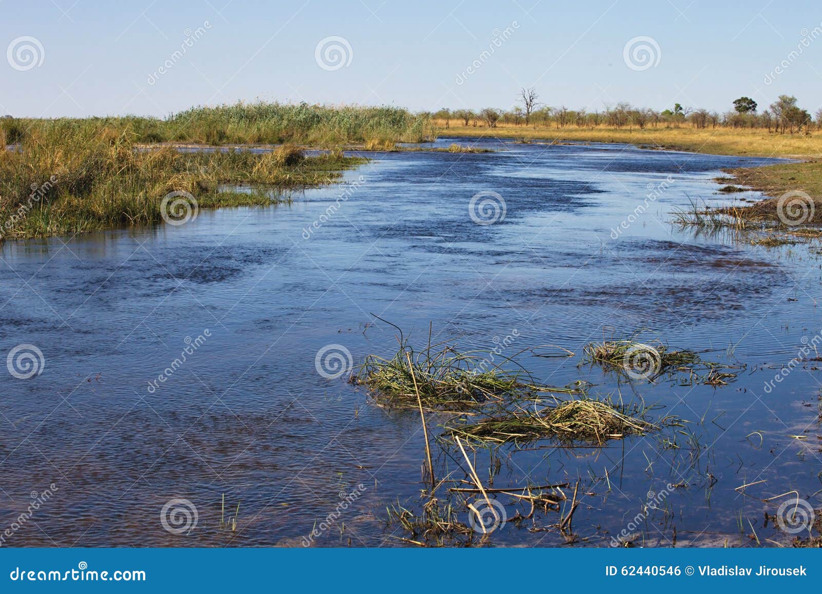 Marsh Habitat, at the Bwabwata National Park, Namibia Stock Photo ...
