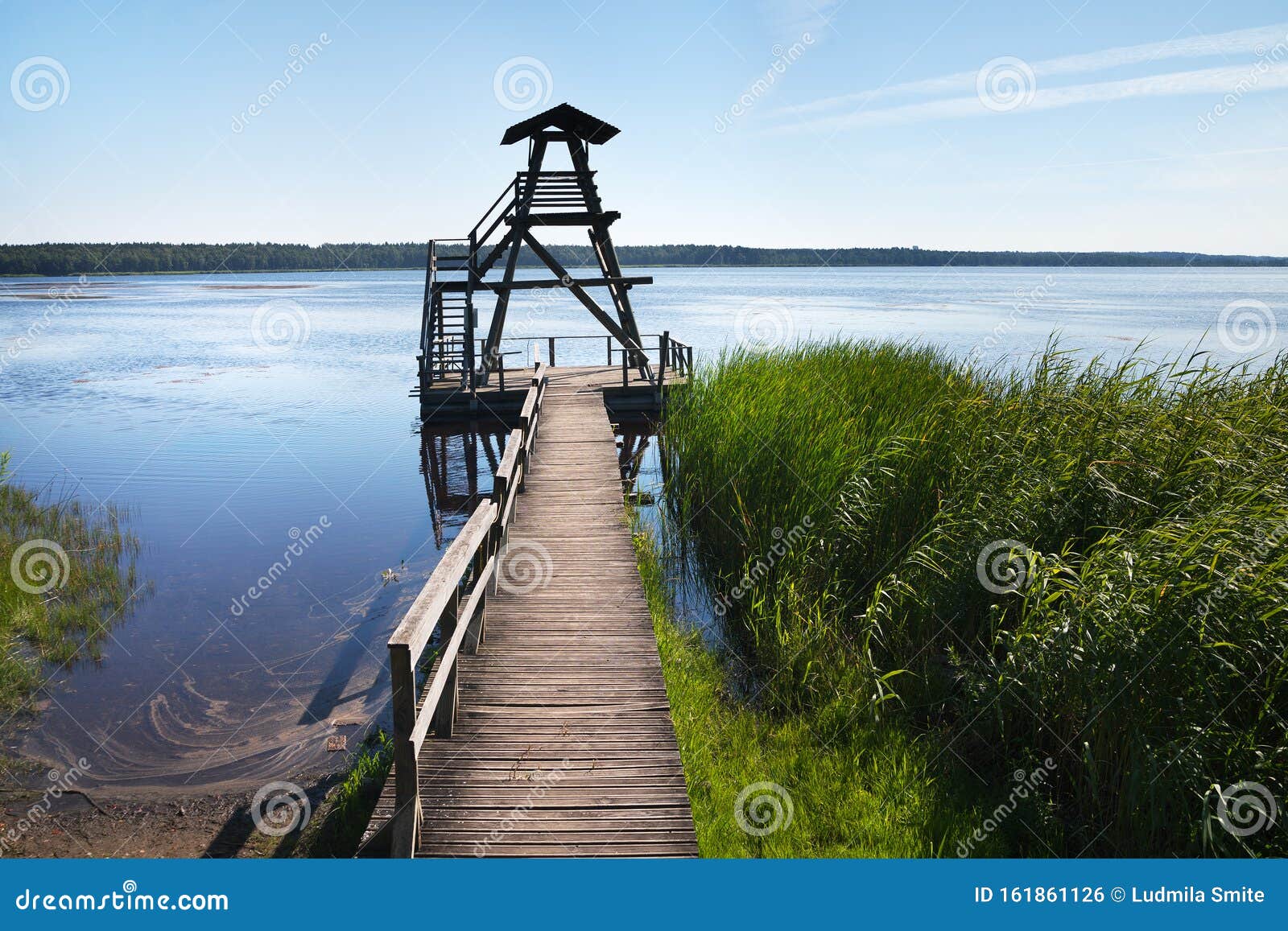 Marsh lake with tower stock photo. Image of summer, marsh - 161861126
