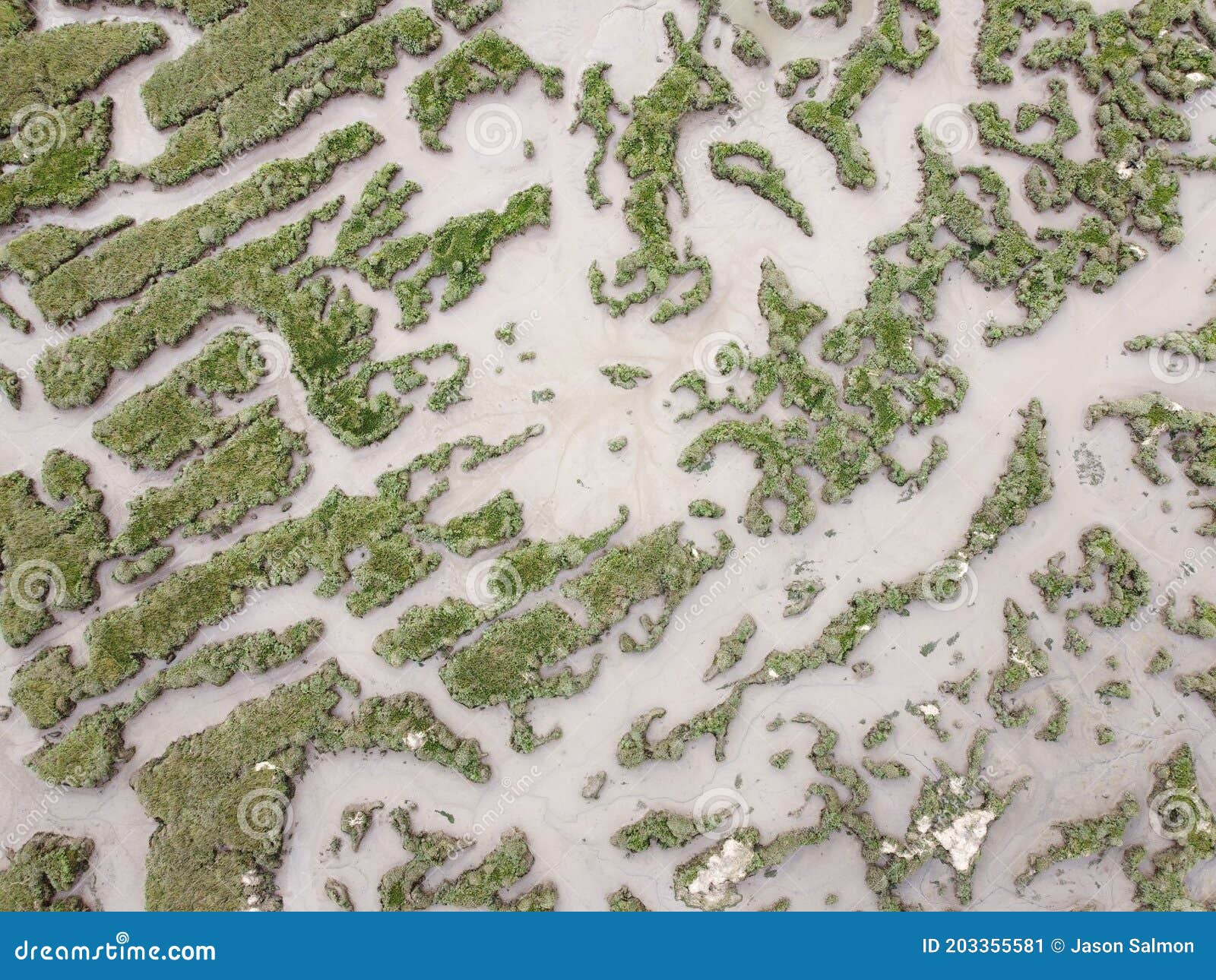 Marsh land from above stock image. Image of ecosystem - 203355581