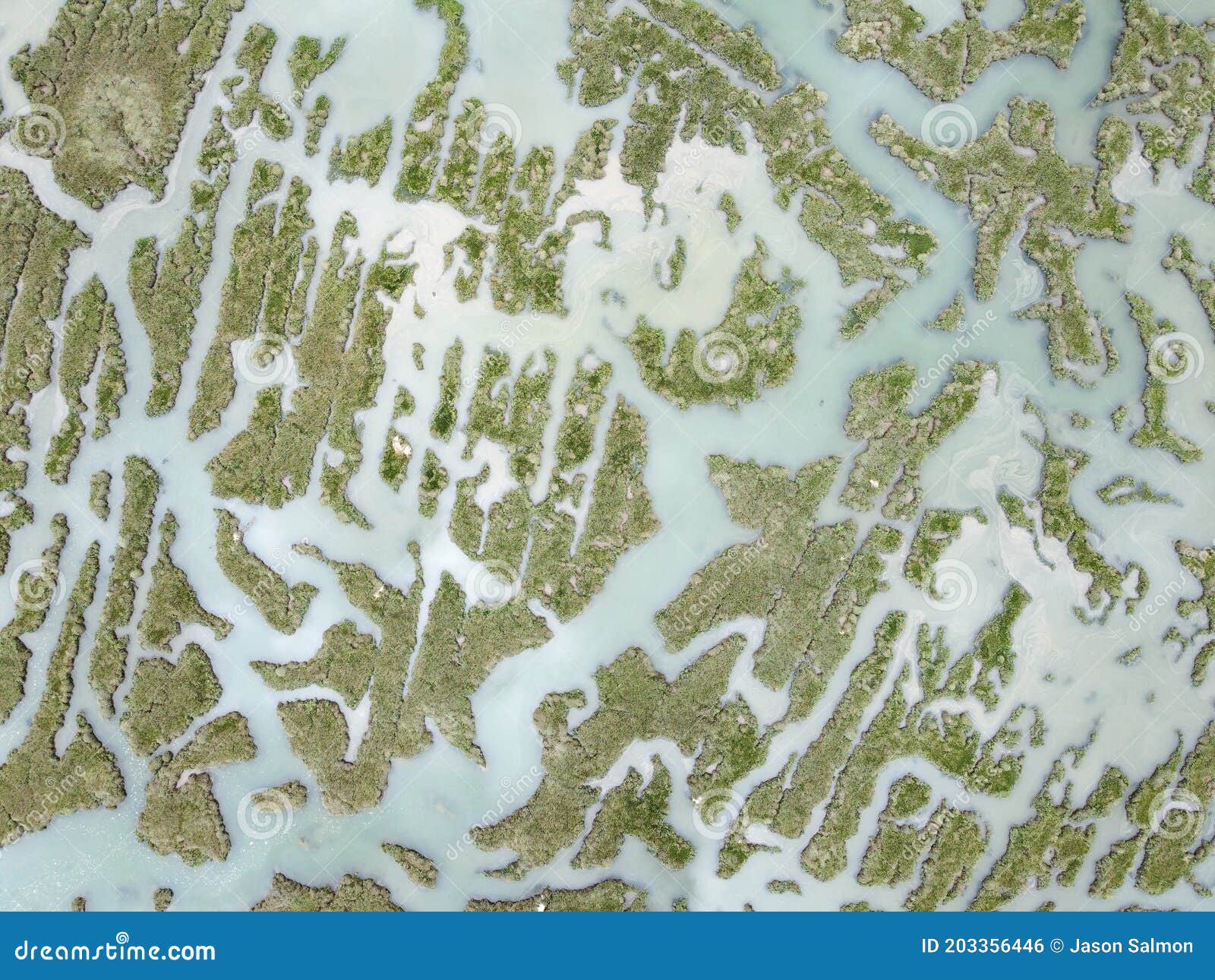 Marsh land from above stock photo. Image of peat, ecosystem - 203356446