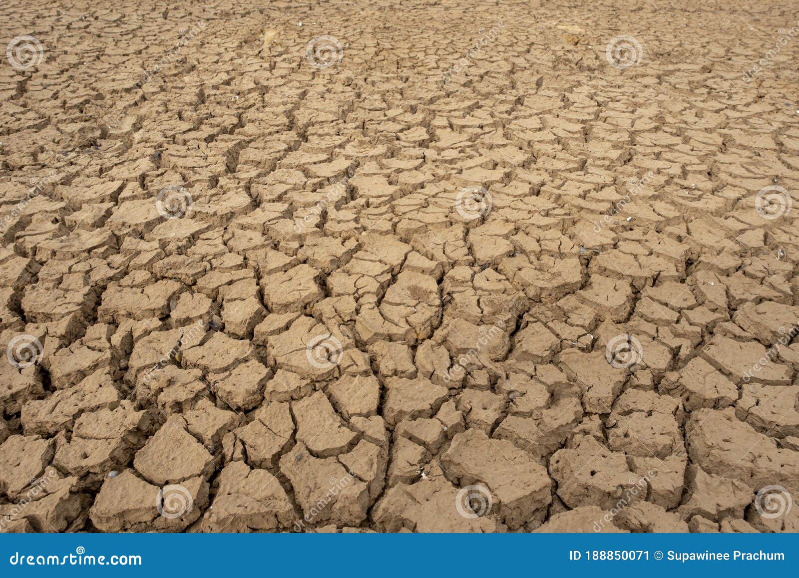Marsh Land with Dry and Cracked Ground. Global Warming Background Stock ...