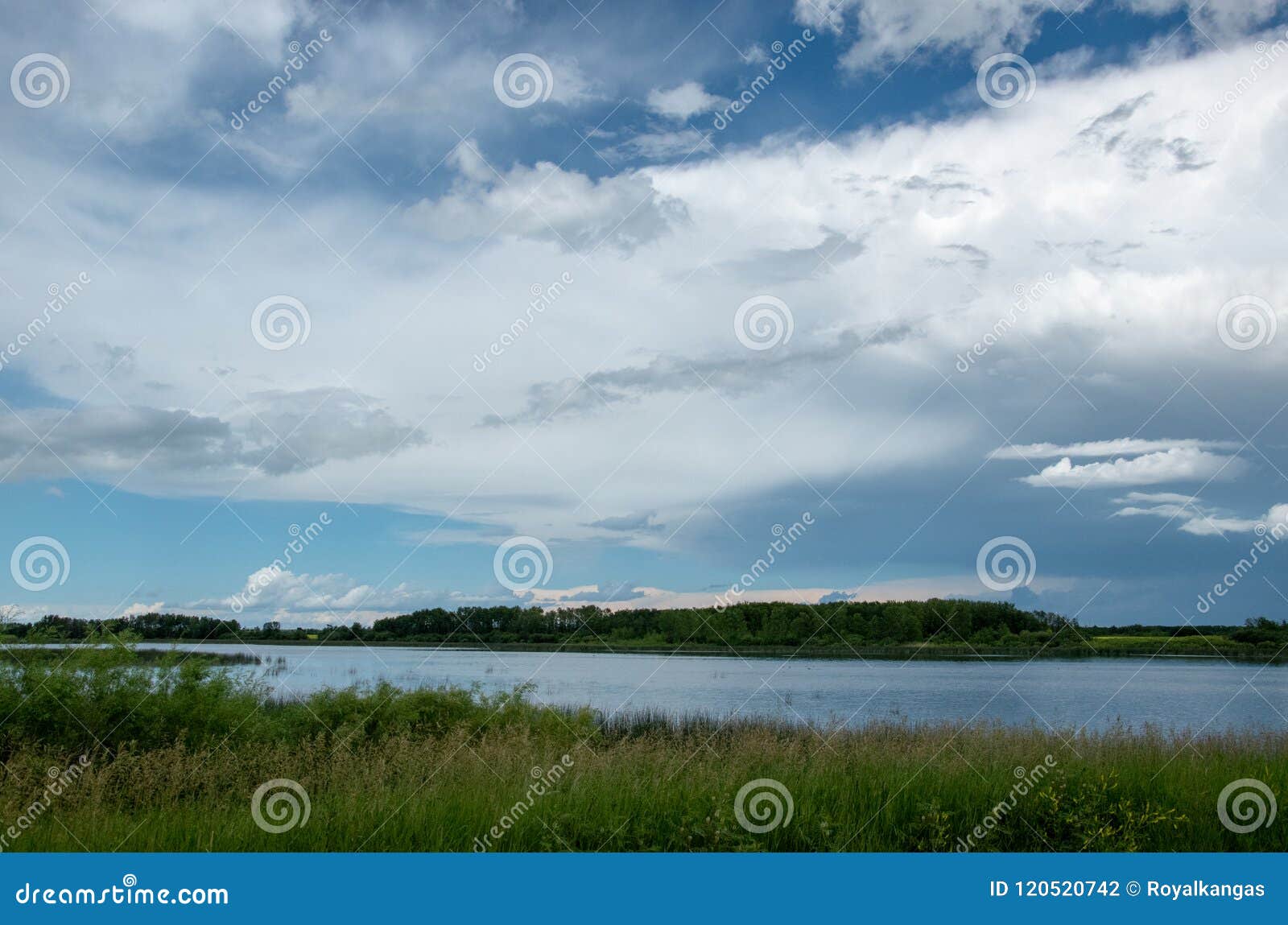 Marsh Land in Saskatchewan, Canada. Stock Photo - Image of marshland ...