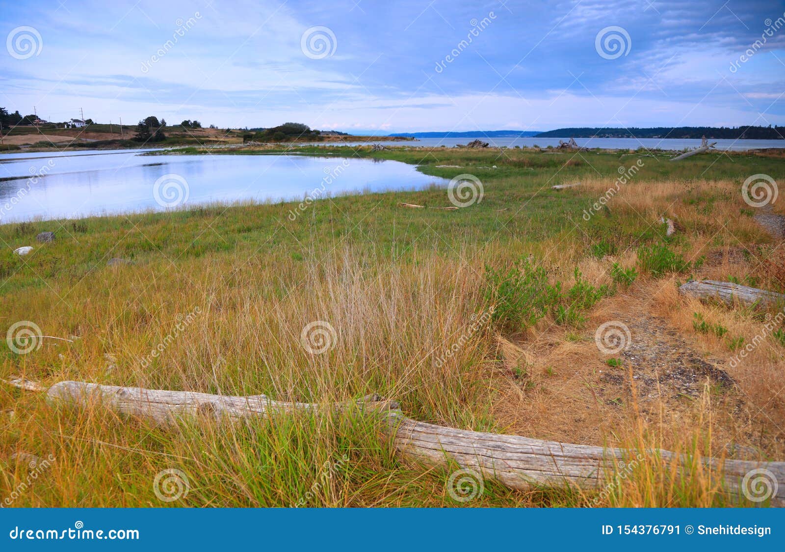 Marsh Lands in Whidbey Island Stock Image - Image of colorful, fields ...