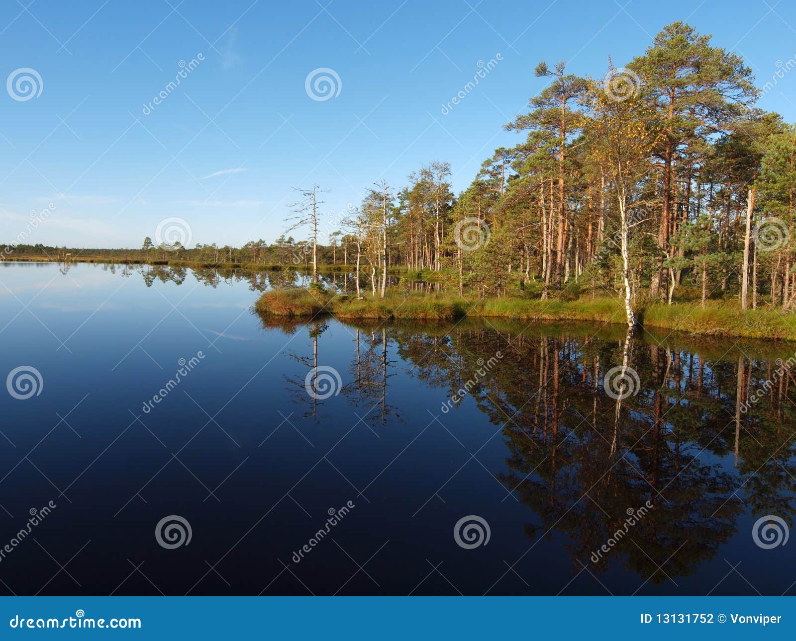 Marsh landscape stock photo. Image of country, marsh - 13131752