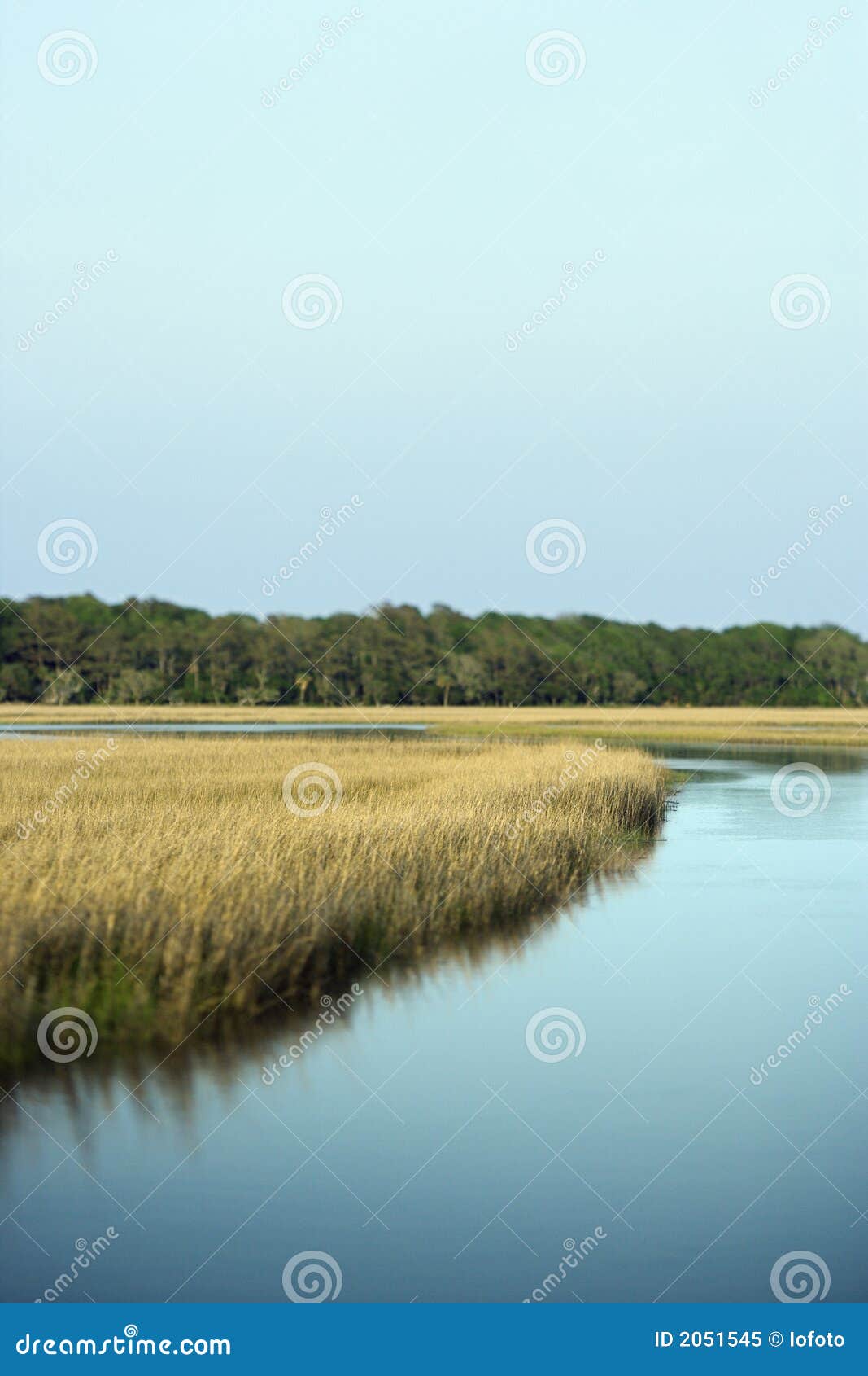 Marsh landscape stock image. Image of saltwater, colour - 2051545