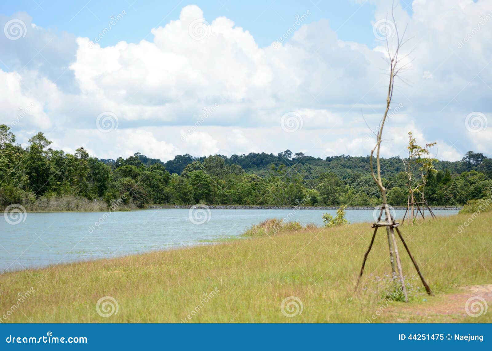 Marsh landscape stock image. Image of national, clouds - 44251475
