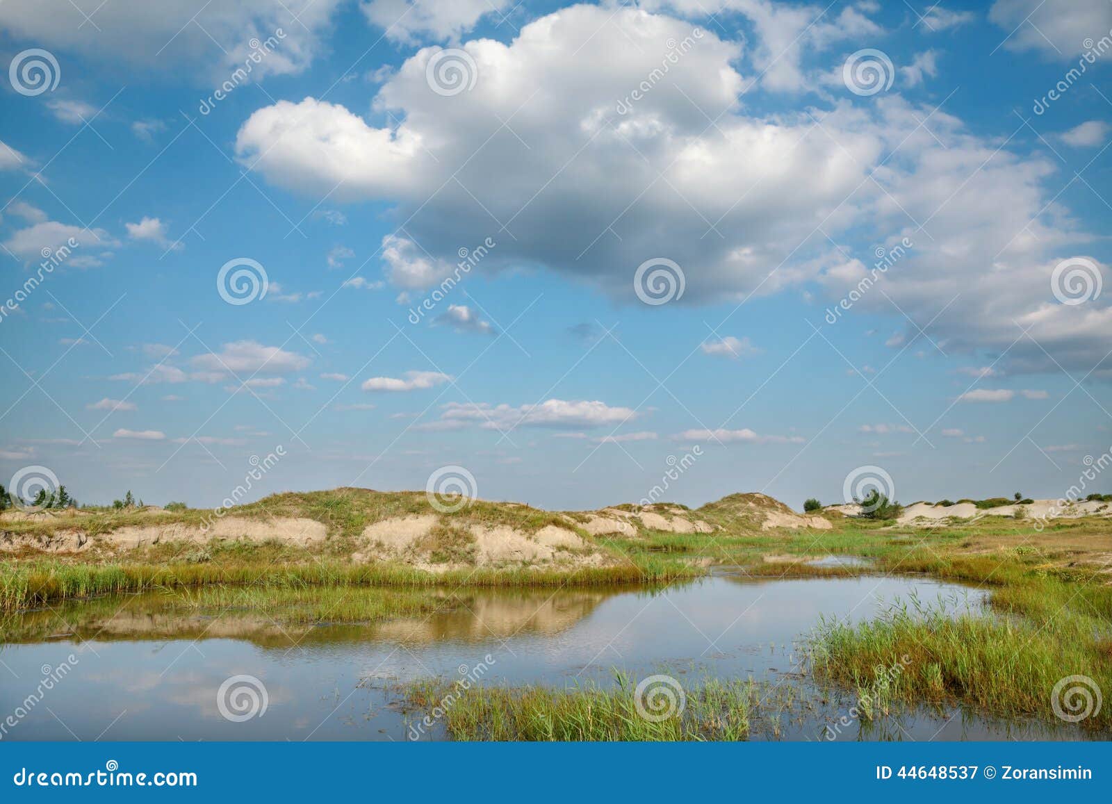 Marsh landscape stock image. Image of dirt, beautiful - 44648537