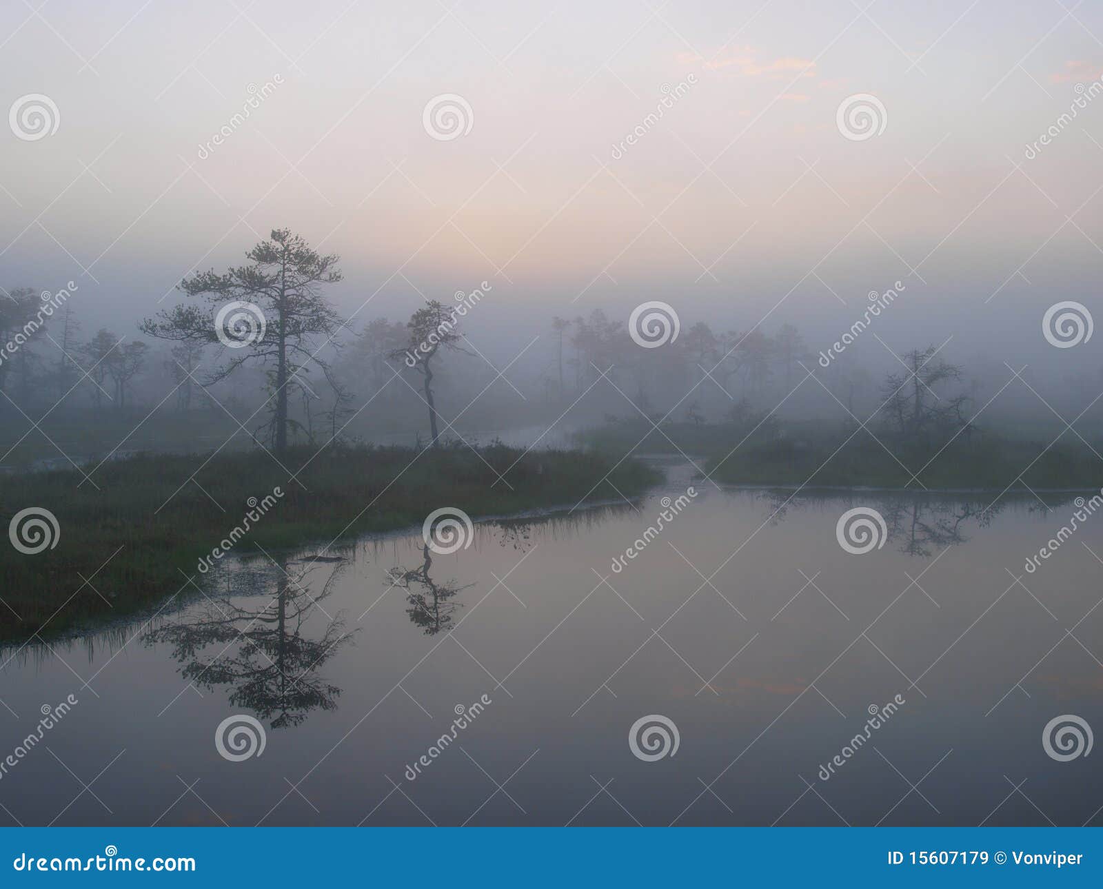 Marsh landscape, sunrise stock image. Image of outdoor - 15607179