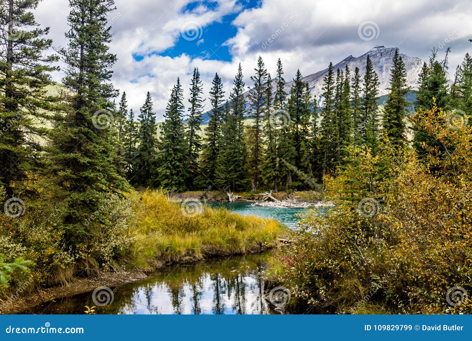 Marsh Loop, Banff National Park, Alberta, Canada Stock Image - Image of ...