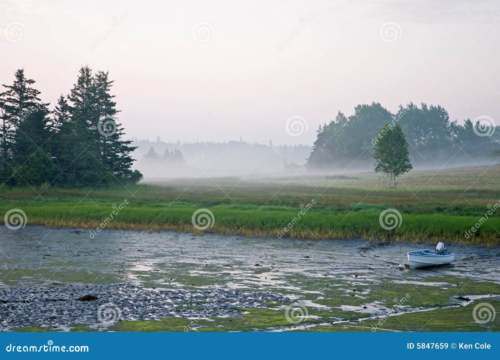 Marsh in morning fog stock image. Image of northeast, morning - 5847659