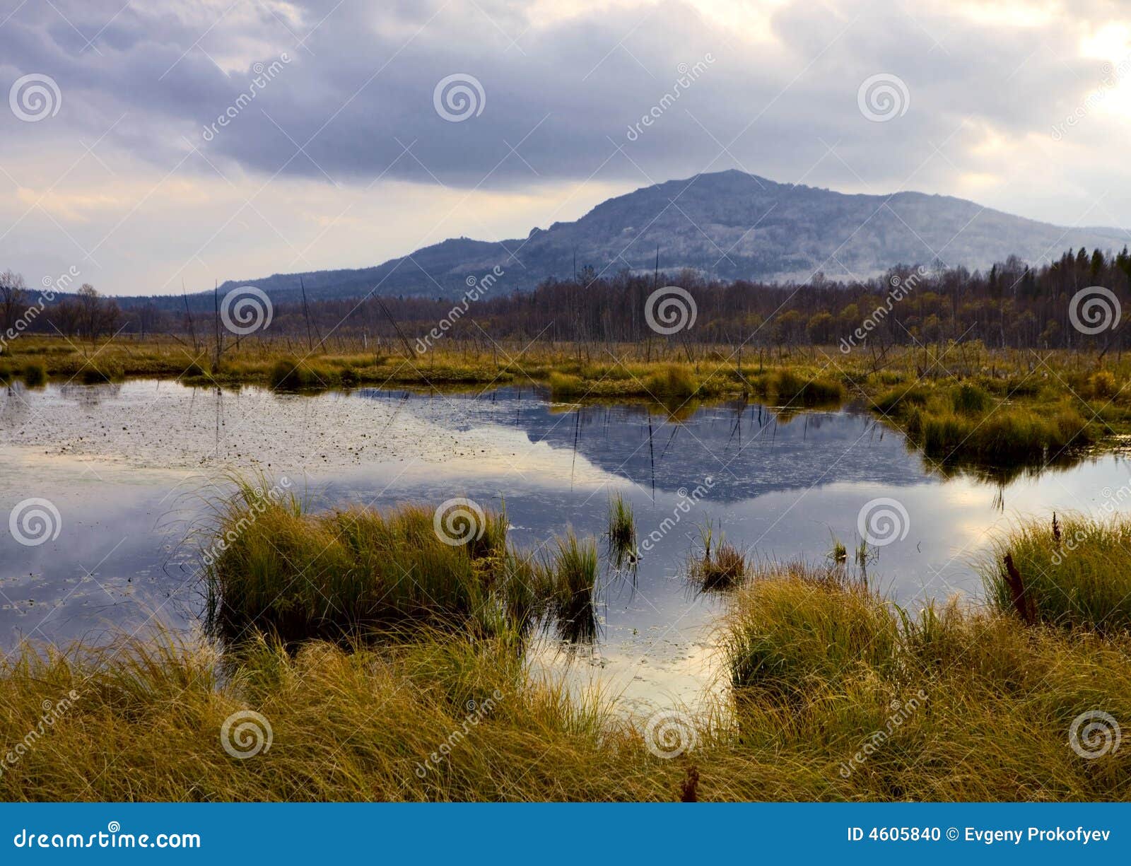 Marsh and mountain stock photo. Image of landscape, reflection - 4605840