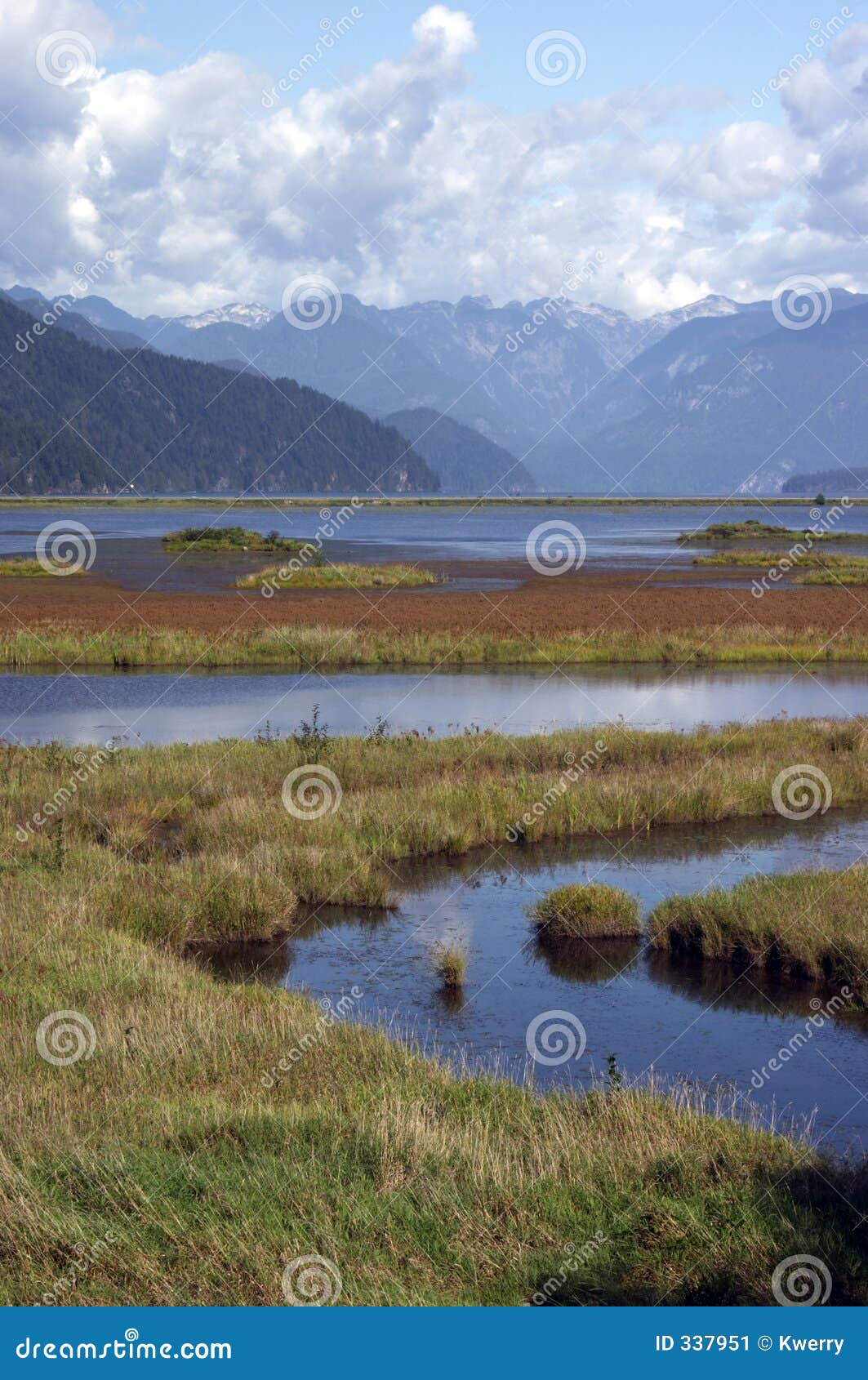 Marsh and Mountains stock image. Image of mountain, wetland - 337951