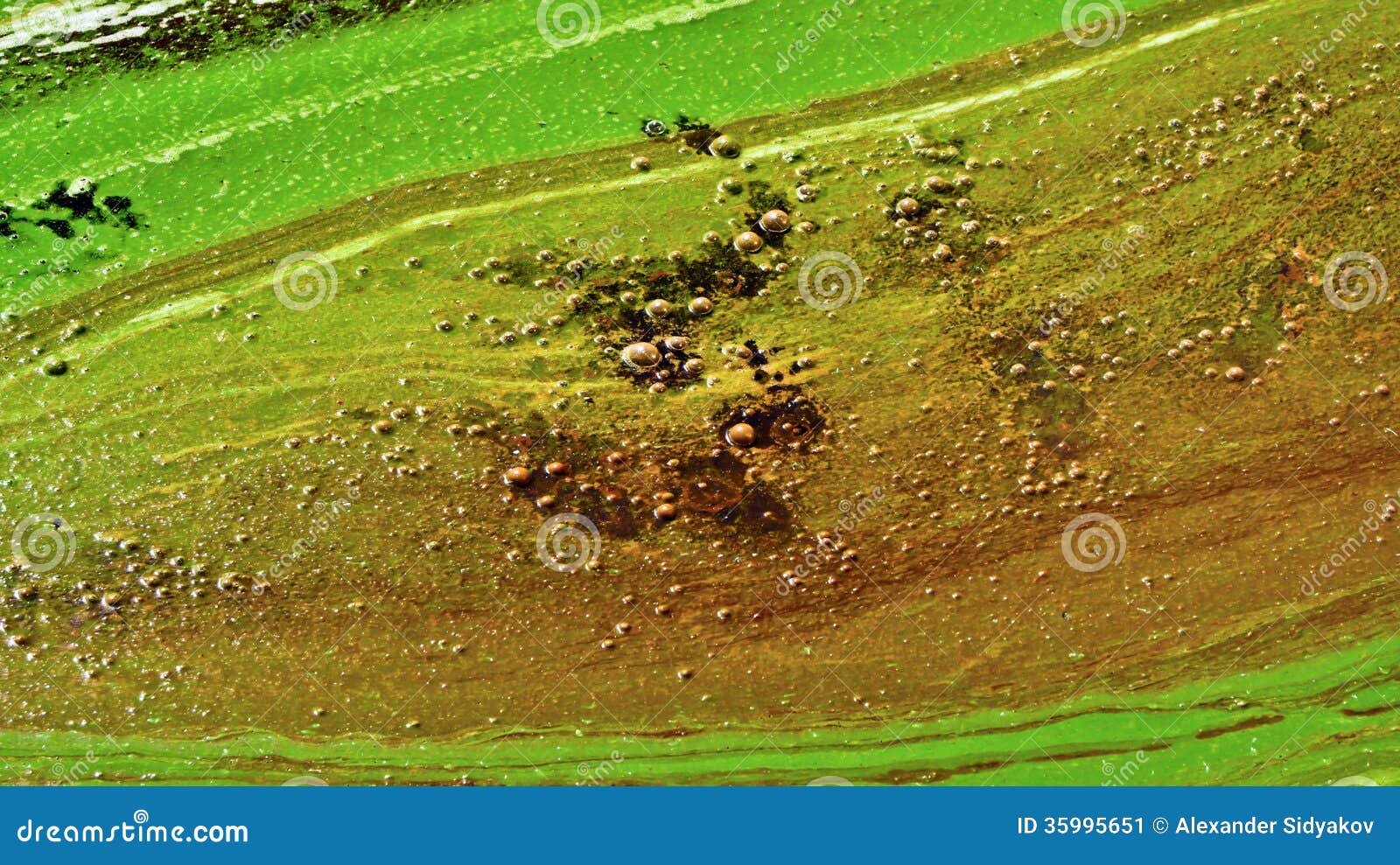 Marsh mud. stock image. Image of natural, summer, environmental - 35995651