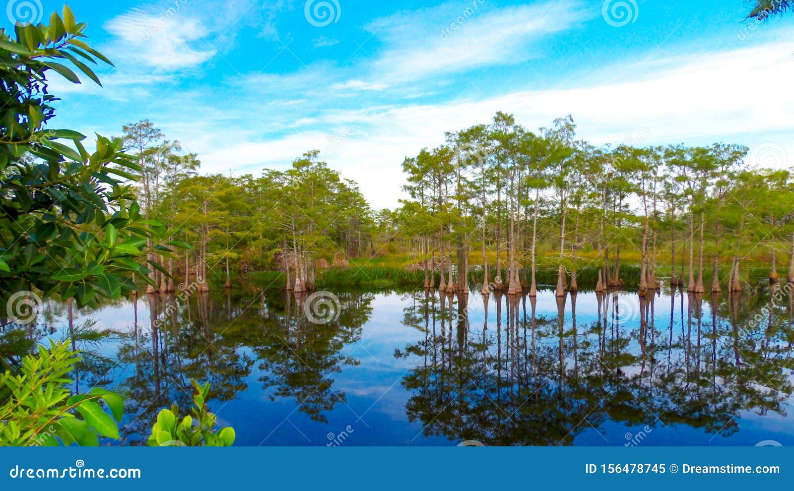 Buffer Pond Stock Photos - Free & Royalty-Free Stock Photos from Dreamstime