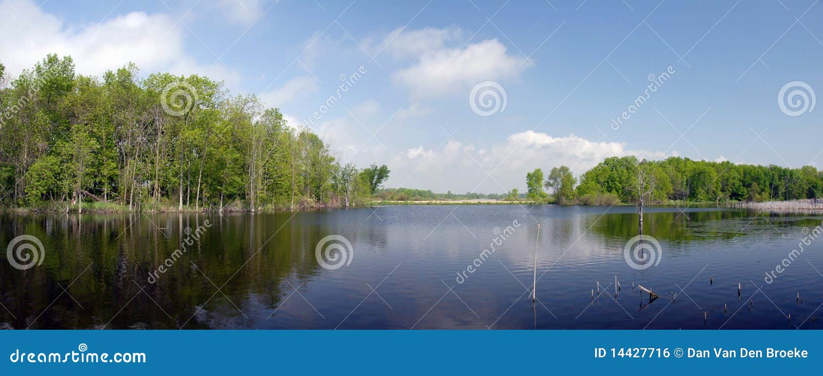 Marsh pond panorama stock photo. Image of path, vacation - 14427716