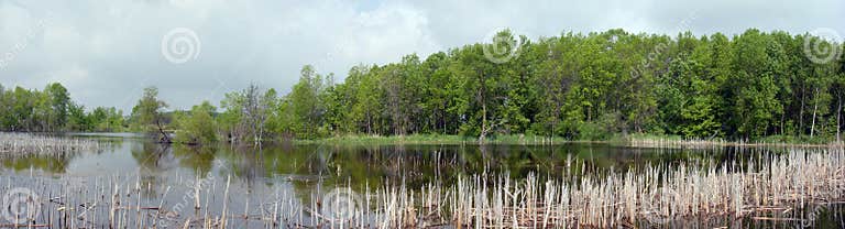 Marsh pond panorama stock image. Image of landscape, leisure - 14427749