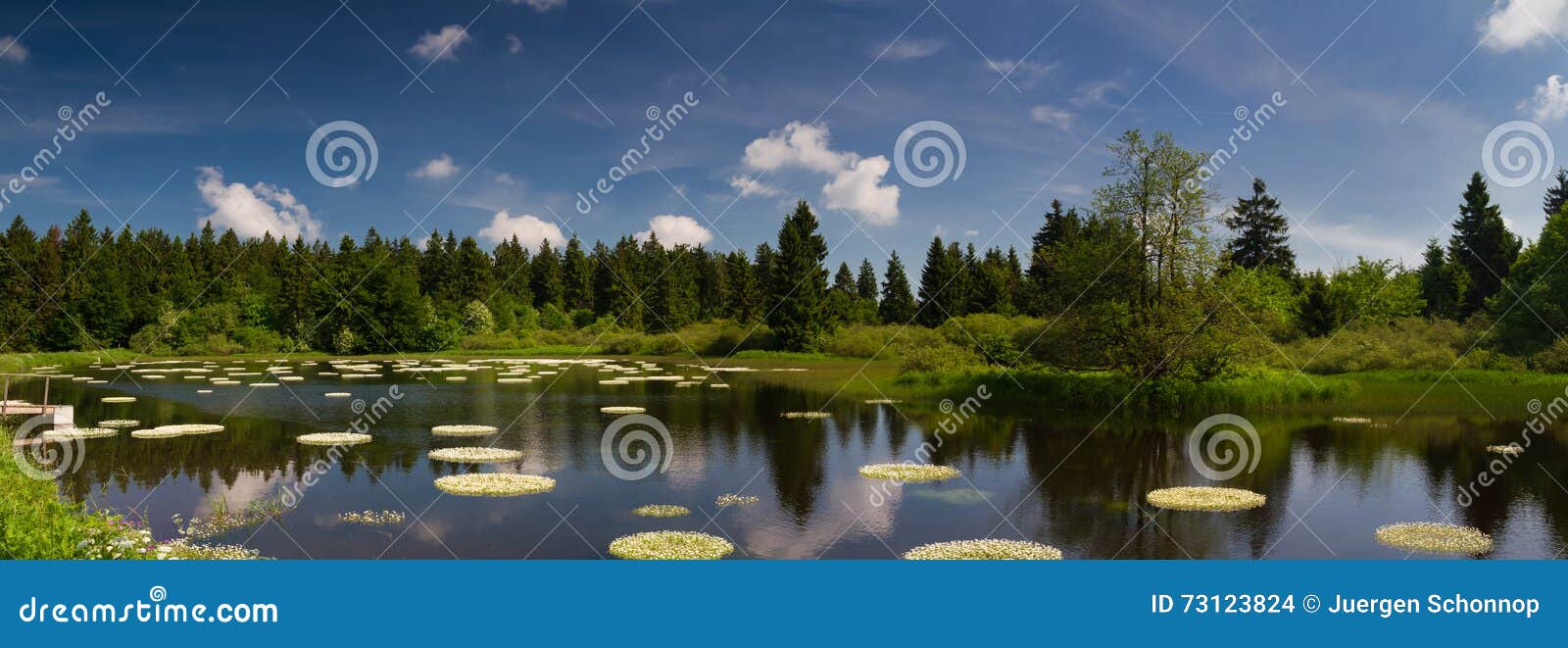 Marsh and Pond at the Vogelsberg Mountain Range Stock Photo - Image of ...